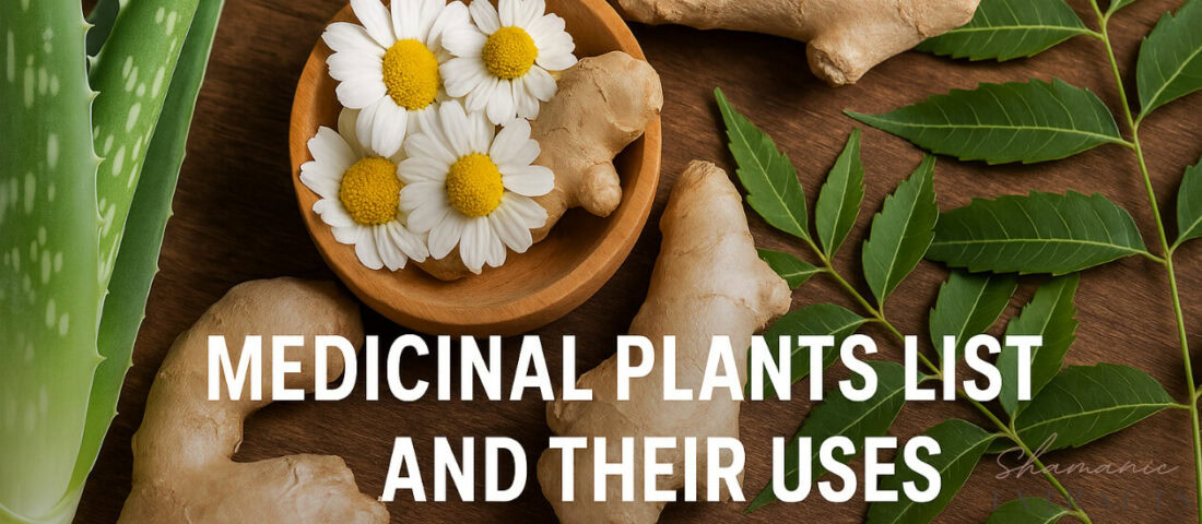 Guide to Sacred Plants, Herbs & Ethnobotanical Products